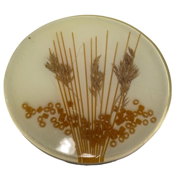 unknown | Dining | Vtg 8 Acrylic Lucite Resin Trivet Wheat Macaroni Mcm ...